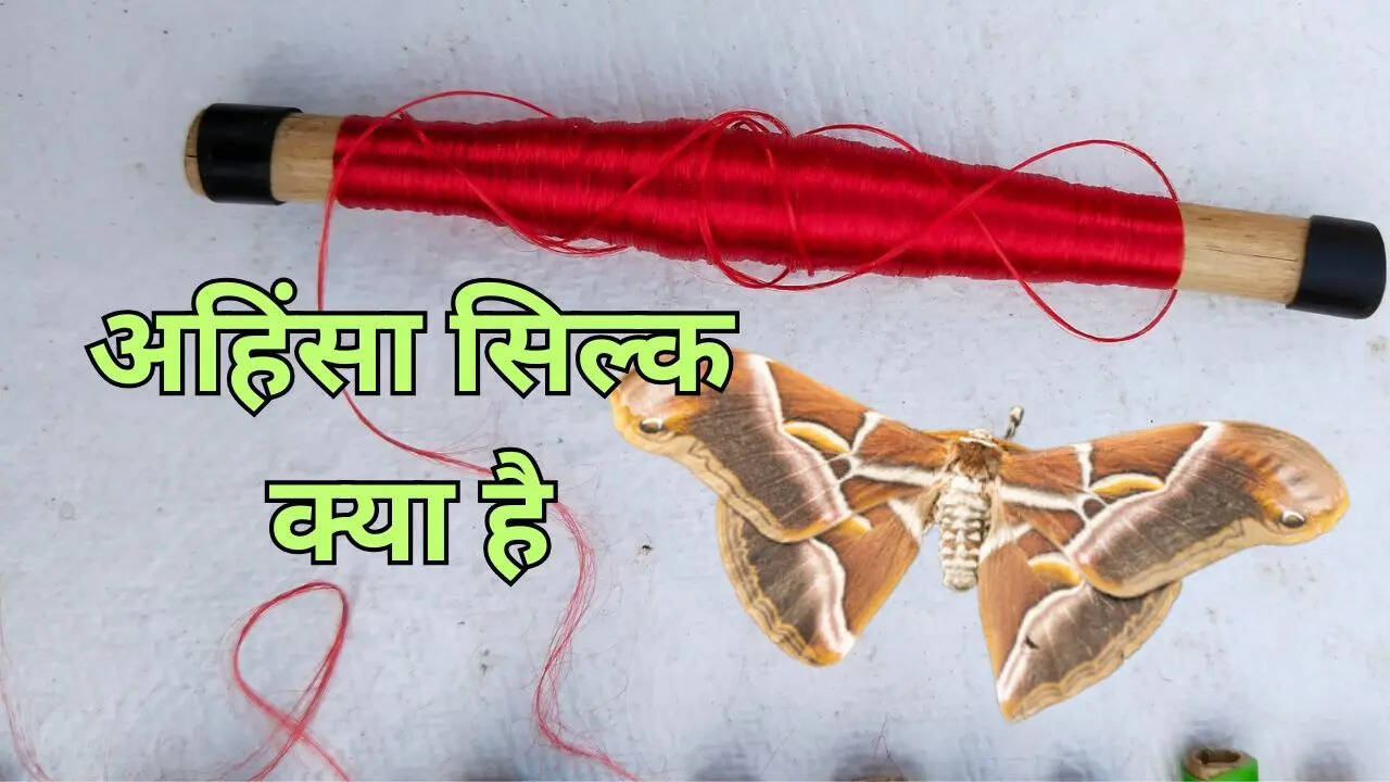 Eri Silk Fabric from Meghalaya (एरी सिल्क क्या है): अहिंसा सिल्क क्या होता है, what is eri silk ...