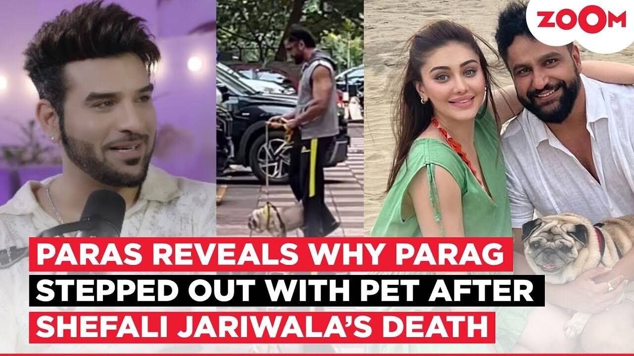 Paras Chhabra Reveals Why parag Tyagi spotted With Pet Simba After ...