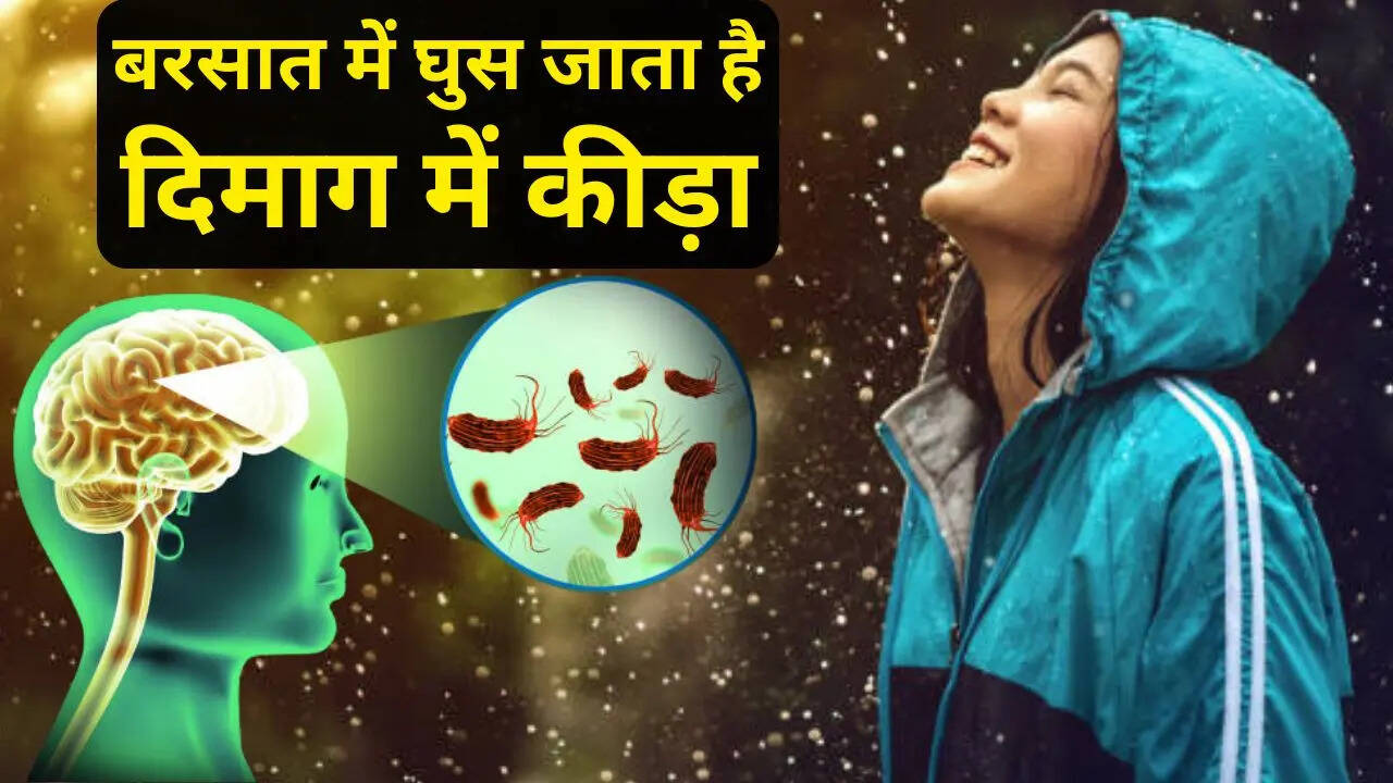 मॉनसून में दिमाग में कीड़ा घुसने के लक्षण | Monsoon Mein Dimag Mein ...