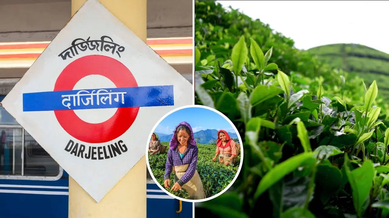 Darjeeling queen of hills travel tips famous attractions Darjeeling - दार्जिलिंग का जादू, हर ...