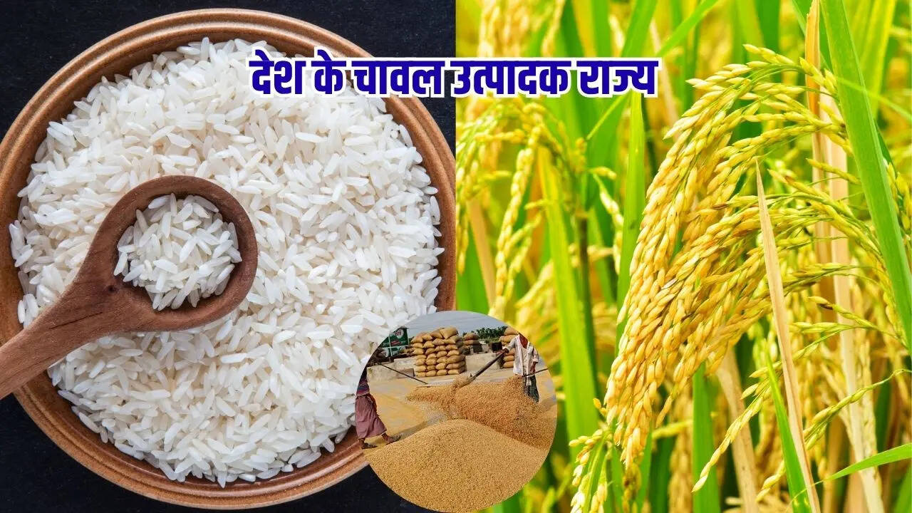 Kisan ki Khabar: Which state is known as Rice bowl in India, which is ...
