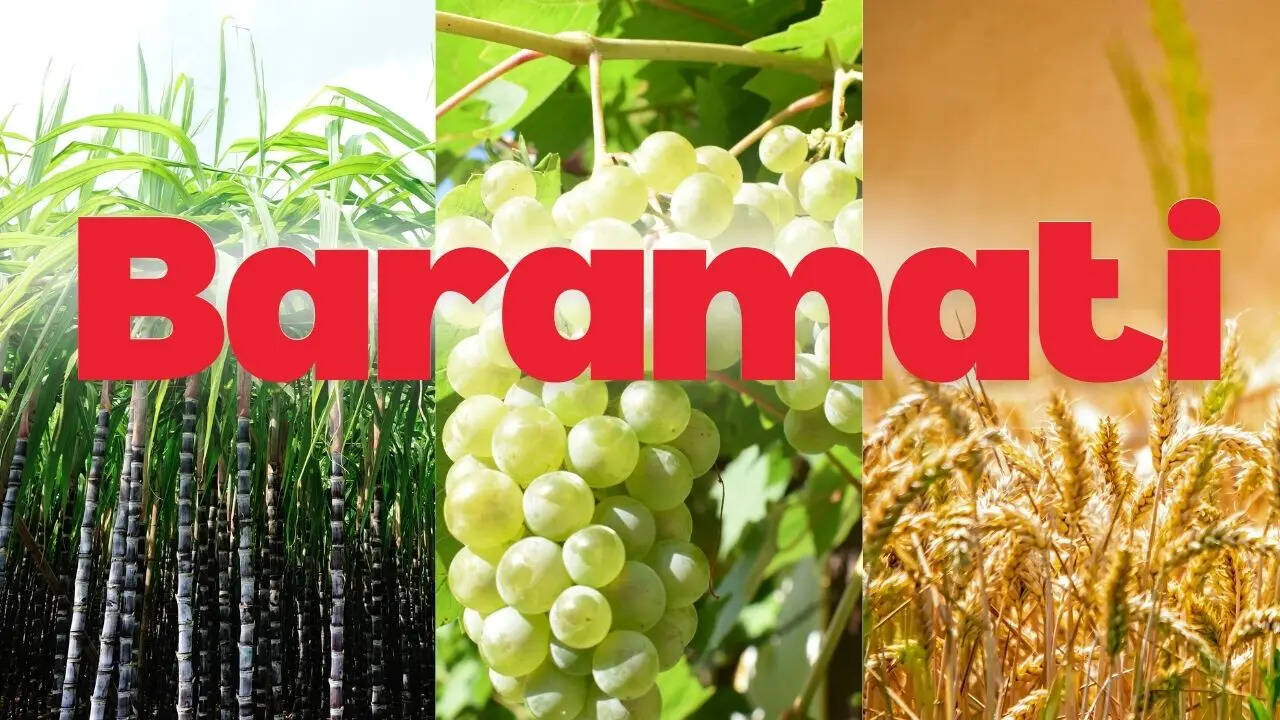 where is baramati why it is in news check here baramati profile ...