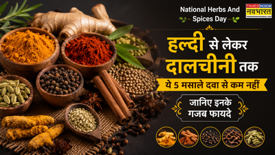 National Herbs And Spices Day: हल्दी से लेकर दालचीनी तक, ये 5 मसाले दवा ...