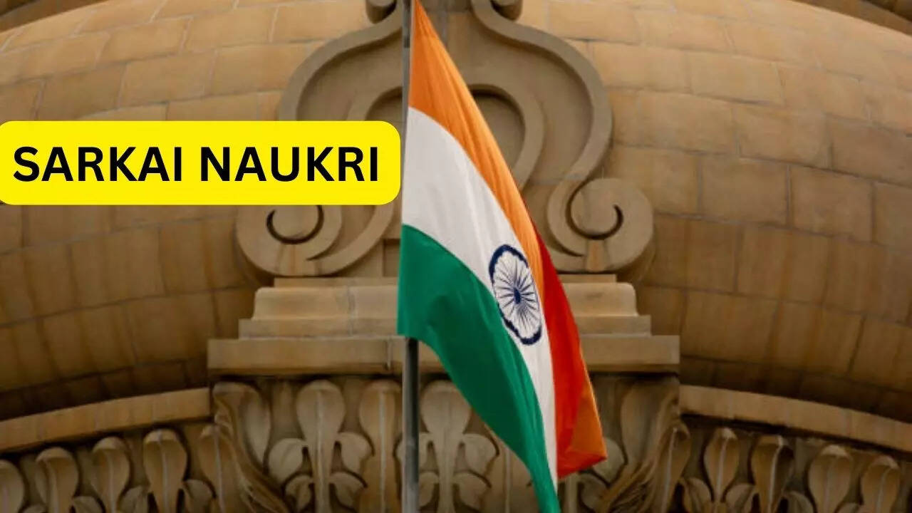 Sarkari Result 2022, Sarkari Naukri Job 2022 Live: BSER Rajasthan REET ...