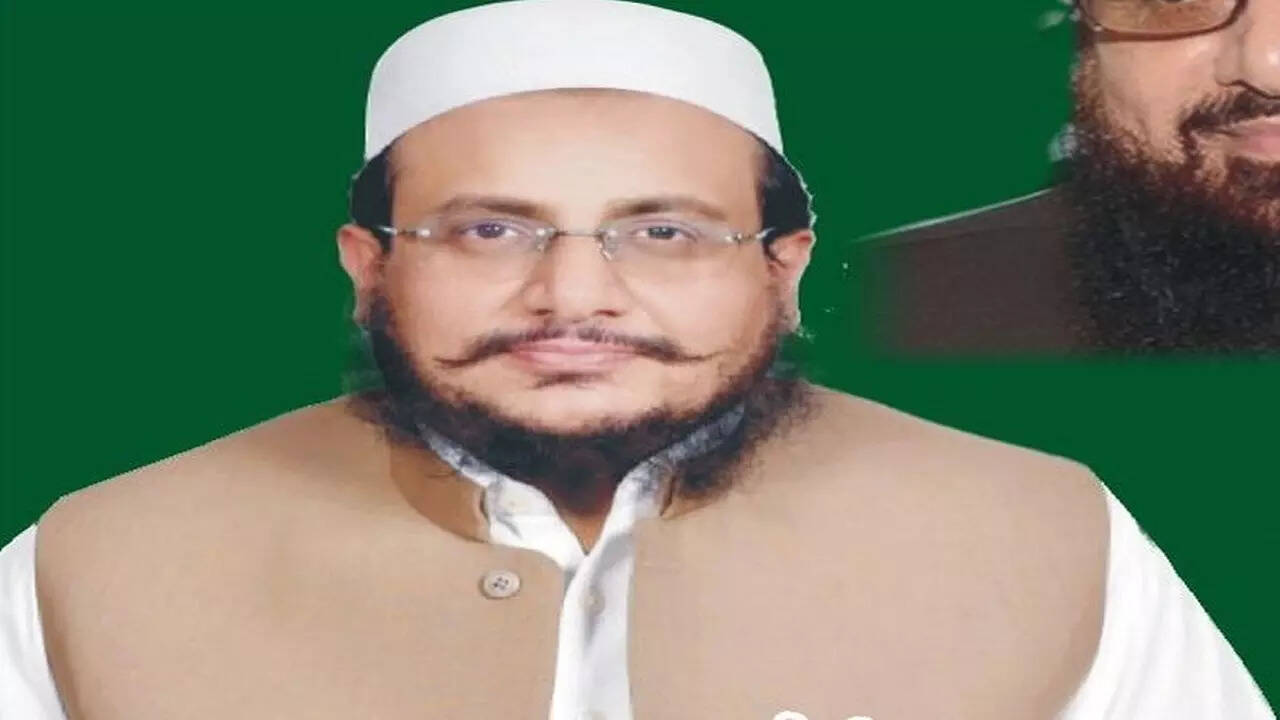 China puts hold on India's proposal to blacklist LeT terrorist Hafiz ...