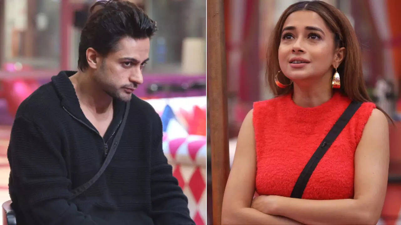 Tina Datta Reveals Bigg Boss 16 Contestant Shalin Bhanot do not deserve ...