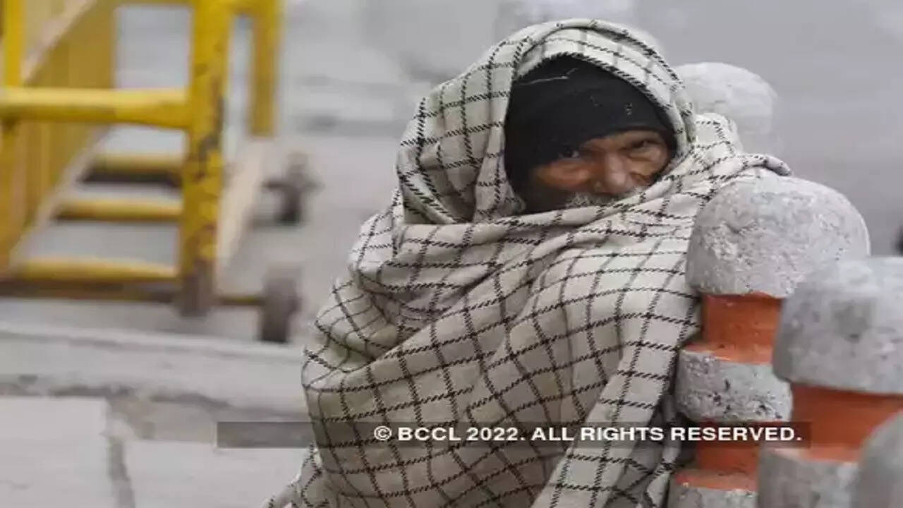 Weather update today Cold wave tightens grip in Delhi dense fog in north india know IMD ...