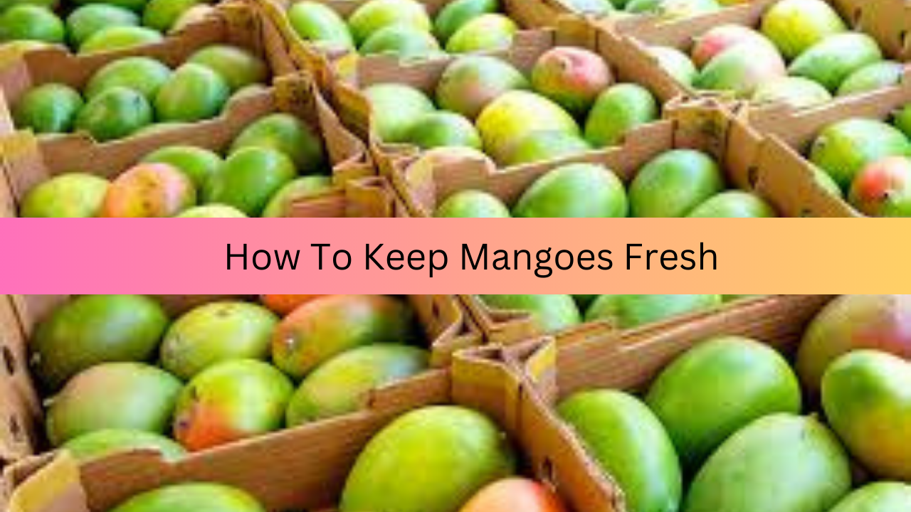 Mangoes Storing Tips In Hindi: Simple tricks to store mangoes at home ...